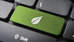 green leaf keyboard key environment background – ComputerUser